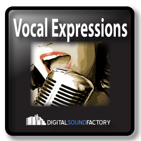 Songwriter's Collection - Virtual Instrument Samples | Digital Sound ...
